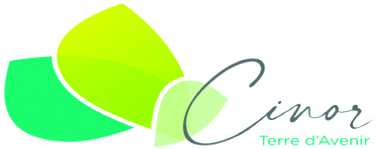 chef(fe) de projet BAOBAB sur l'agglomération de la CINOR CINOR La ...