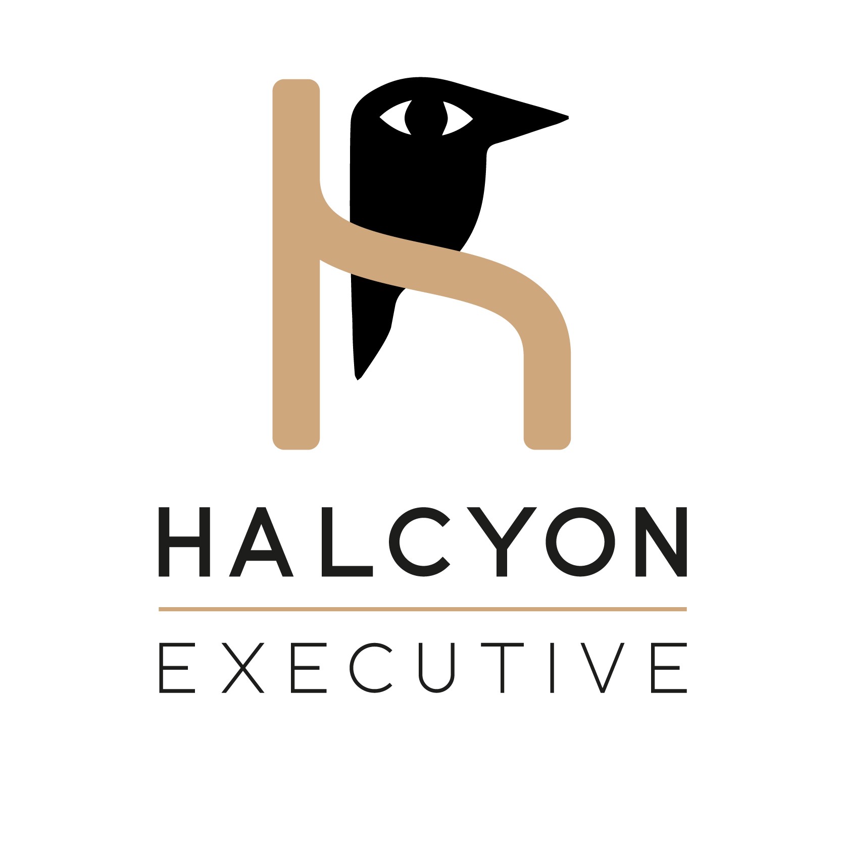 Offre d'emploi HALCYON EXECUTIVE | Emploipublic